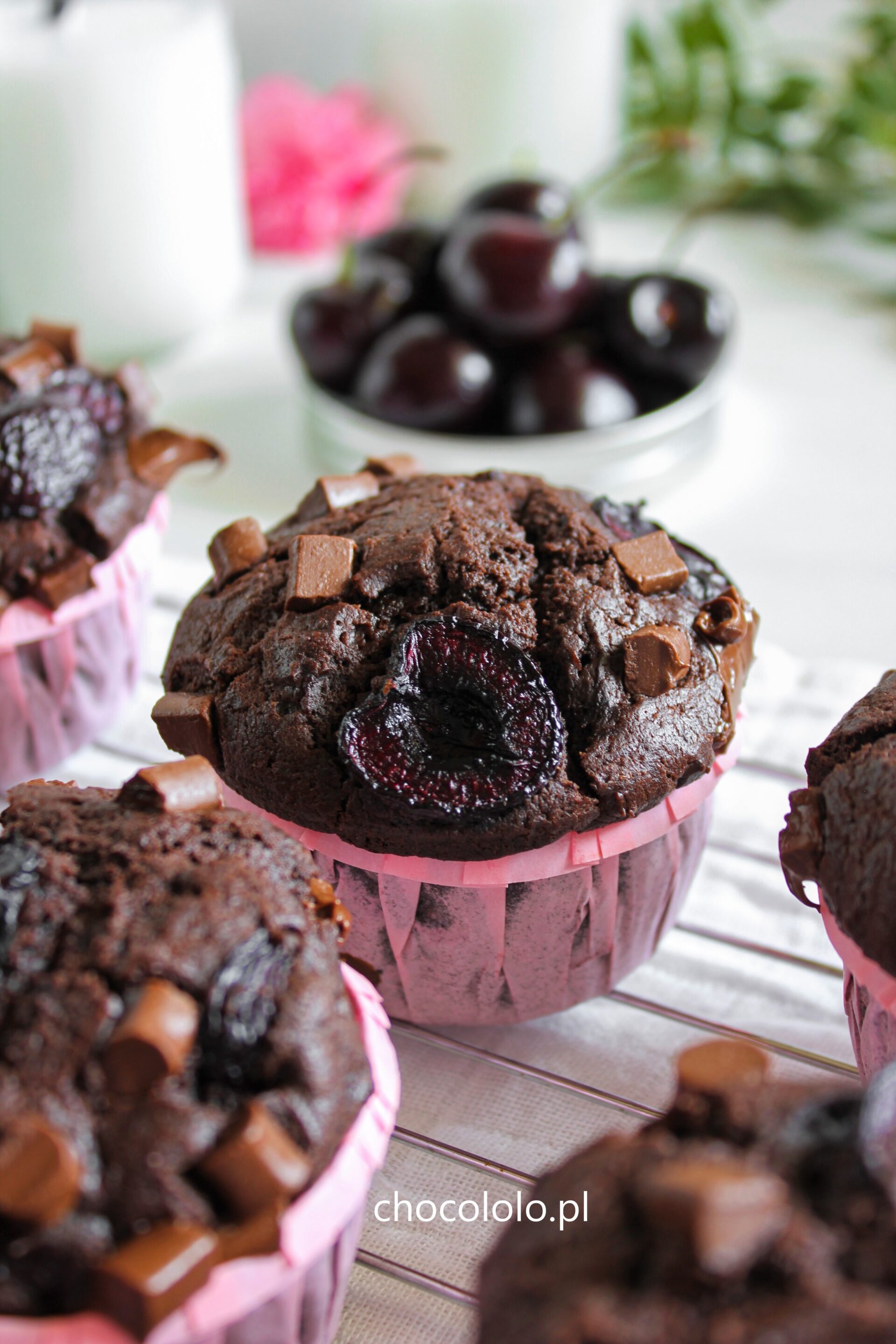 BABECZKI I MUFFINKI Archives - Chocololo.pl - czekoladowy blog