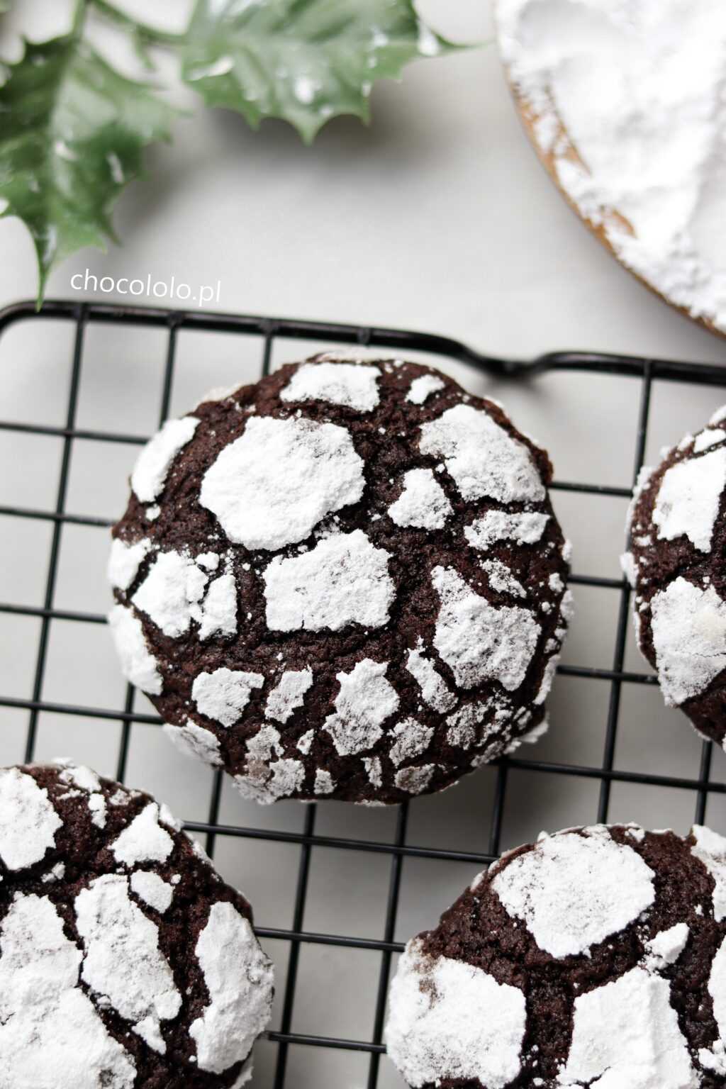 Świąteczne ciasteczka czekoladowe z żurawiną - Chocololo.pl ...