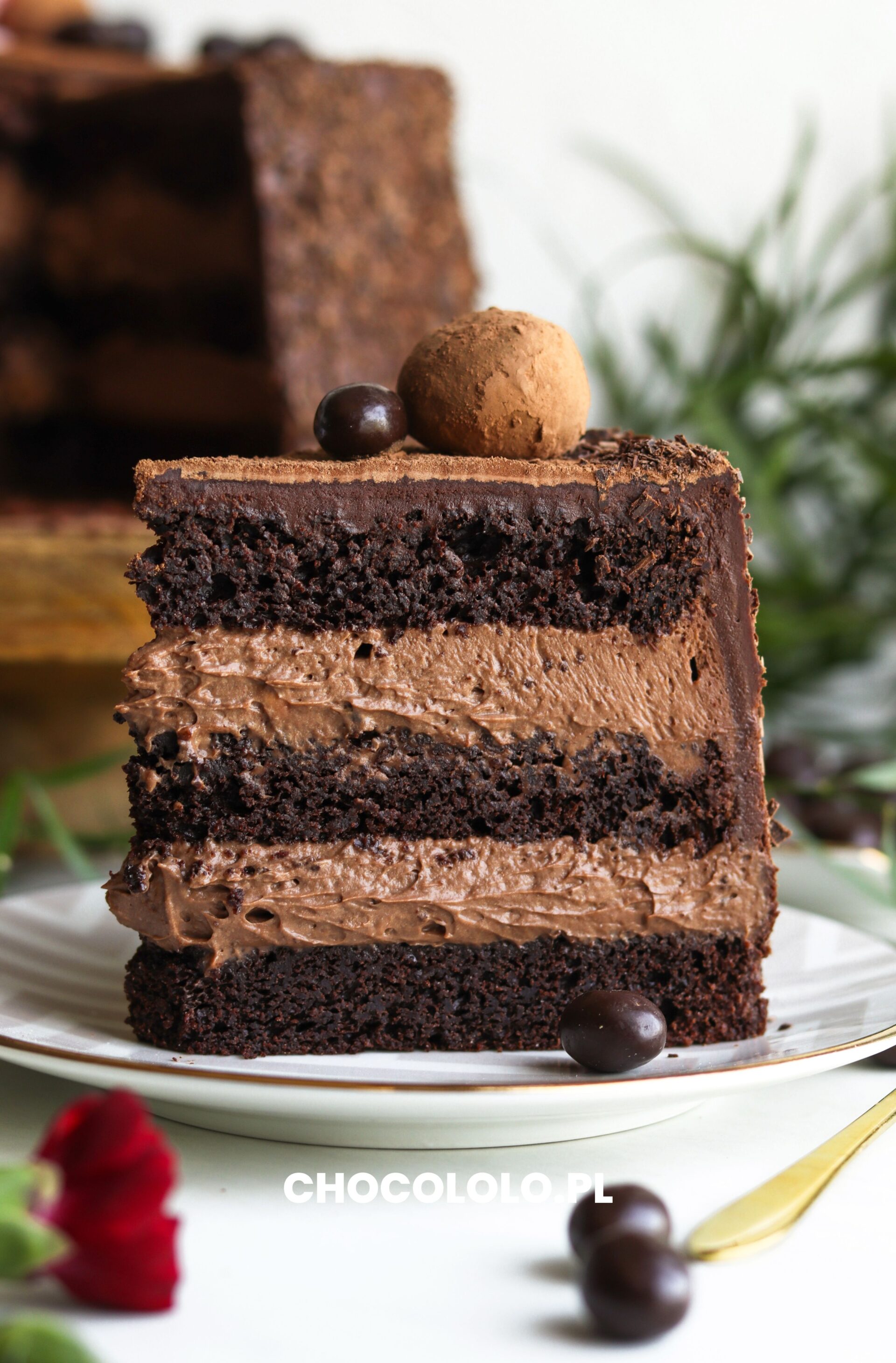 Tort czekoladowy - Chocololo.pl - czekoladowy blog